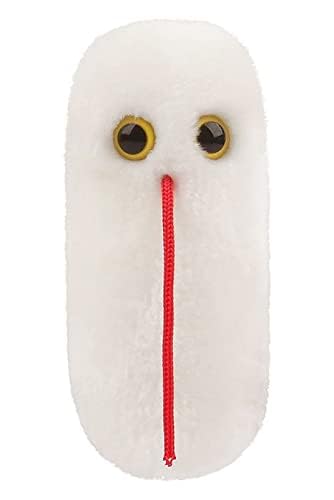 GIANTmicrobes Salmonella Plush -Learn About Food Safety, Bacteria and Gut Health with this Unique Fun Gift for Friends, Families, Teachers, Chefs, Doctors, Gastroenterologists, Students and Scientists