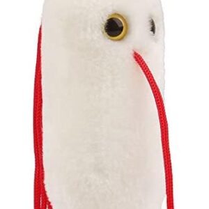 GIANTmicrobes Salmonella Plush -Learn About Food Safety, Bacteria and Gut Health with this Unique Fun Gift for Friends, Families, Teachers, Chefs, Doctors, Gastroenterologists, Students and Scientists