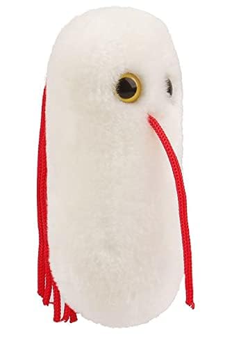 GIANTmicrobes Salmonella Plush -Learn About Food Safety, Bacteria and Gut Health with this Unique Fun Gift for Friends, Families, Teachers, Chefs, Doctors, Gastroenterologists, Students and Scientists