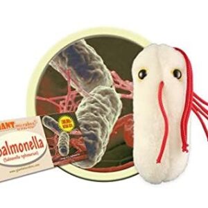 GIANTmicrobes Salmonella Plush -Learn About Food Safety, Bacteria and Gut Health with this Unique Fun Gift for Friends, Families, Teachers, Chefs, Doctors, Gastroenterologists, Students and Scientists