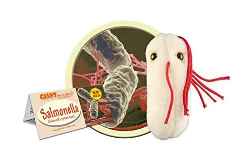 GIANTmicrobes Salmonella Plush -Learn About Food Safety, Bacteria and Gut Health with this Unique Fun Gift for Friends, Families, Teachers, Chefs, Doctors, Gastroenterologists, Students and Scientists