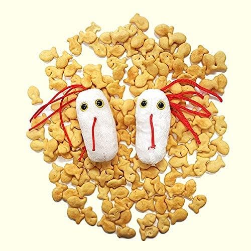 GIANTmicrobes Salmonella Plush -Learn About Food Safety, Bacteria and Gut Health with this Unique Fun Gift for Friends, Families, Teachers, Chefs, Doctors, Gastroenterologists, Students and Scientists