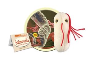 giantmicrobes salmonella plush -learn about food safety, bacteria and gut health with this unique fun gift for friends, families, teachers, chefs, doctors, gastroenterologists, students and scientists