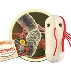 GIANTmicrobes Salmonella Plush -Learn About Food Safety, Bacteria and Gut Health with this Unique Fun Gift for Friends, Families, Teachers, Chefs, Doctors, Gastroenterologists, Students and Scientists