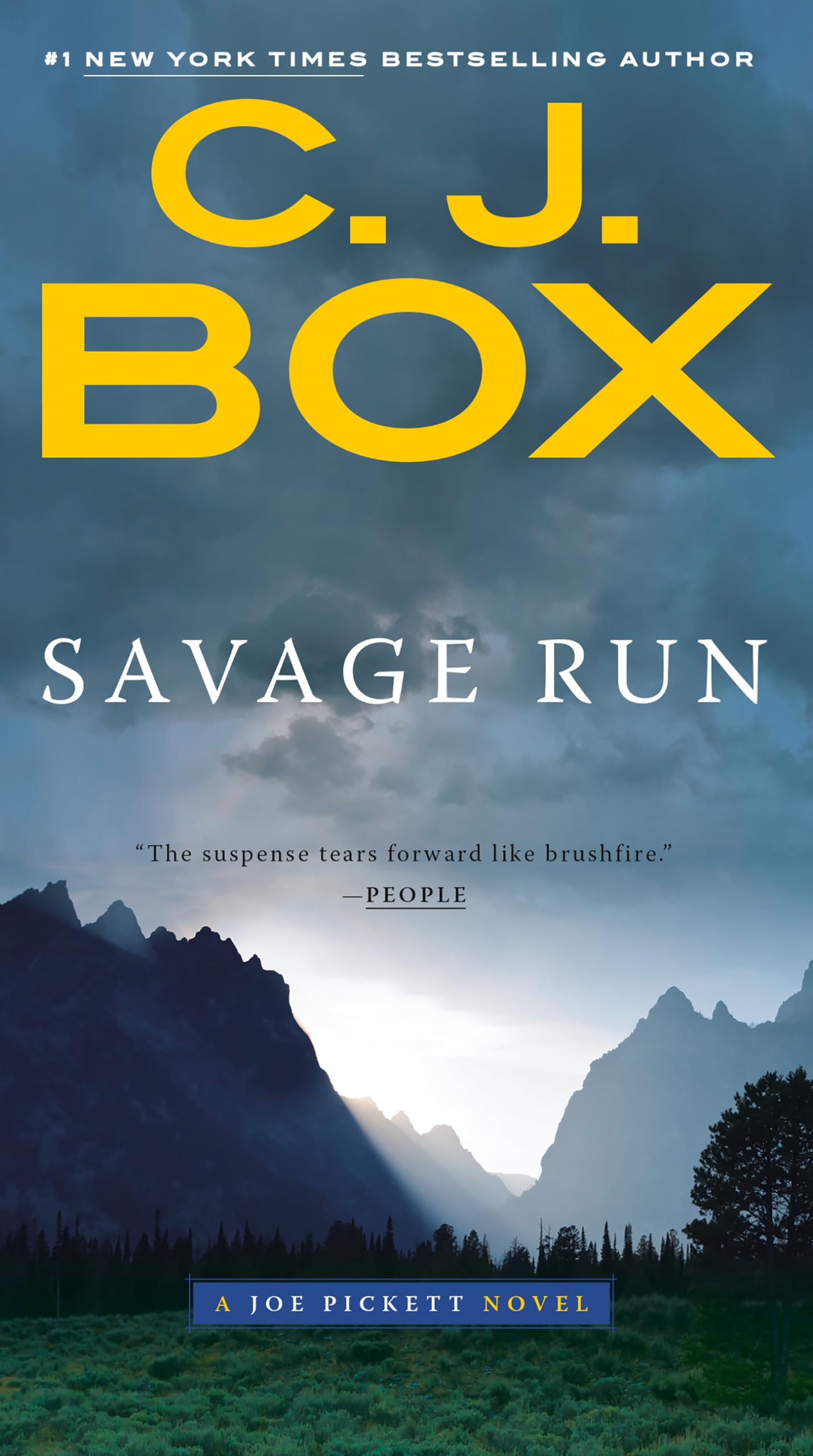 Savage Run (A Joe Pickett Novel Book 2)