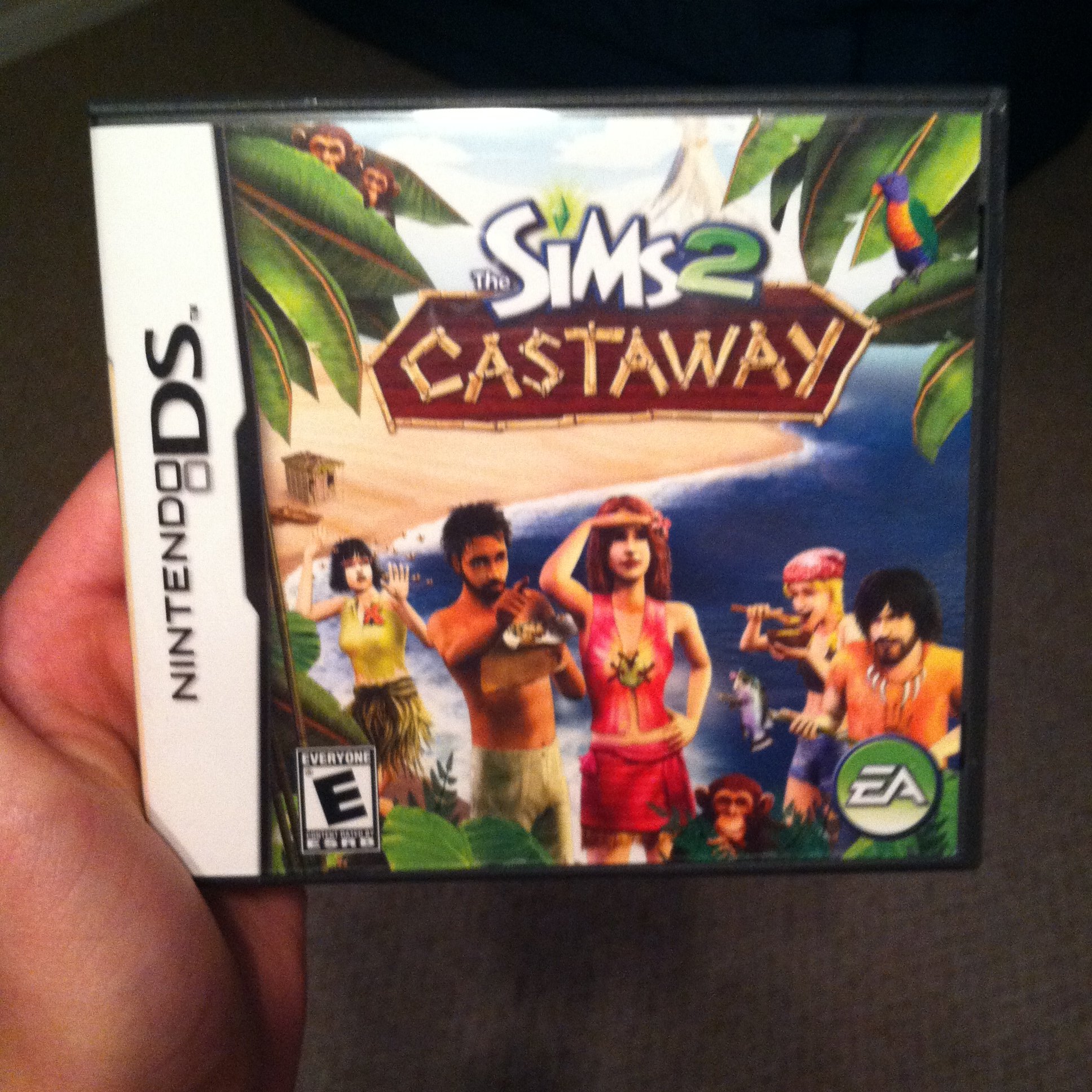 The Sims 2: Castaway - Nintendo DS