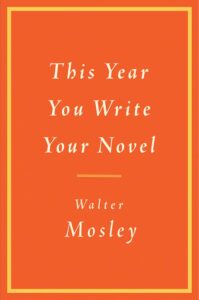 this year you write your novel