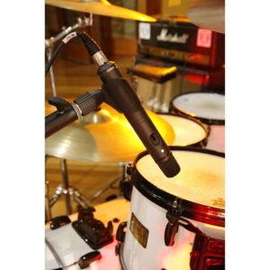 Rode M3 Versatile End-Address Instrument Condenser Microphone