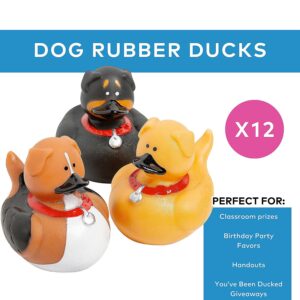 Dog Rubber Duckies - Set of 12 Ducks - Party Favors and Giveaways