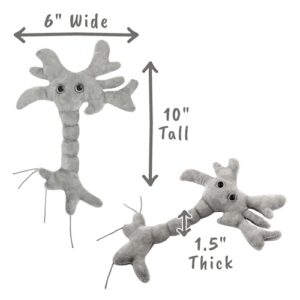 GIANTmicrobes Brain Cell Plush, Neuron Plush, Neuroscience Gifts, Neurology Gifts, Science Plush, Neuron Model Anatomy, Psychology Gifts, Psychology Decor, Brain Themed Gifts, Mental Health Awareness