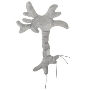 GIANTmicrobes Brain Cell Plush, Neuron Plush, Neuroscience Gifts, Neurology Gifts, Science Plush, Neuron Model Anatomy, Psychology Gifts, Psychology Decor, Brain Themed Gifts, Mental Health Awareness