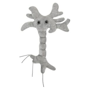 giantmicrobes brain cell plush, neuron plush, neuroscience gifts, neurology gifts, science plush, neuron model anatomy, psychology gifts, psychology decor, brain themed gifts, mental health awareness