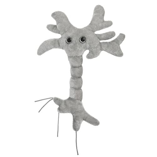 GIANTmicrobes Brain Cell Plush, Neuron Plush, Neuroscience Gifts, Neurology Gifts, Science Plush, Neuron Model Anatomy, Psychology Gifts, Psychology Decor, Brain Themed Gifts, Mental Health Awareness