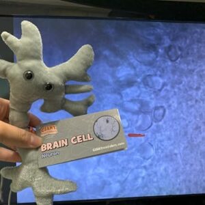 GIANTmicrobes Brain Cell Plush, Neuron Plush, Neuroscience Gifts, Neurology Gifts, Science Plush, Neuron Model Anatomy, Psychology Gifts, Psychology Decor, Brain Themed Gifts, Mental Health Awareness