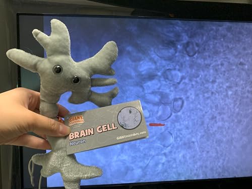 GIANTmicrobes Brain Cell Plush, Neuron Plush, Neuroscience Gifts, Neurology Gifts, Science Plush, Neuron Model Anatomy, Psychology Gifts, Psychology Decor, Brain Themed Gifts, Mental Health Awareness