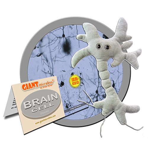 GIANTmicrobes Brain Cell Plush, Neuron Plush, Neuroscience Gifts, Neurology Gifts, Science Plush, Neuron Model Anatomy, Psychology Gifts, Psychology Decor, Brain Themed Gifts, Mental Health Awareness