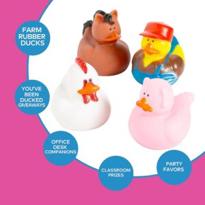 Fun Express Farm Rubber Ducks, Duckies, 12 Pieces, Birthday Parties, Treasure Chest Supplies