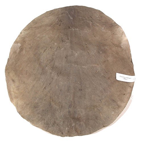 Djembe Drum African Goatskin Replacement Head, Hair-off Goat Skin From Mali