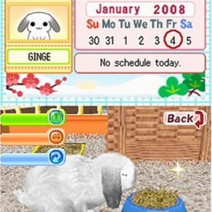 Petz Bunnyz - Nintendo DS