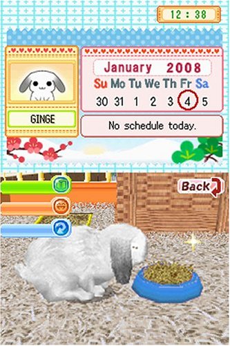 Petz Bunnyz - Nintendo DS