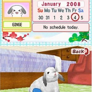 Petz Bunnyz - Nintendo DS