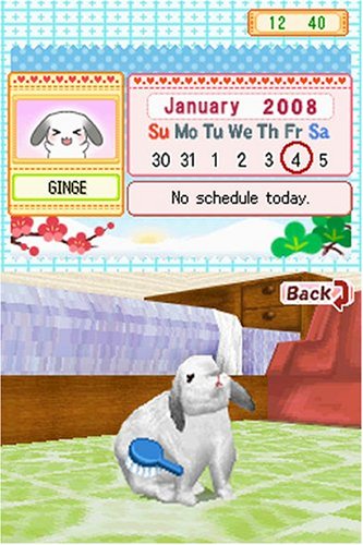 Petz Bunnyz - Nintendo DS