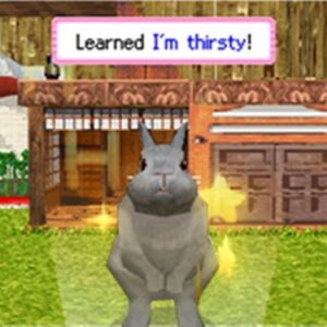 Petz Bunnyz - Nintendo DS