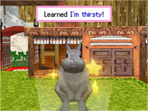 Petz Bunnyz - Nintendo DS