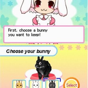 Petz Bunnyz - Nintendo DS