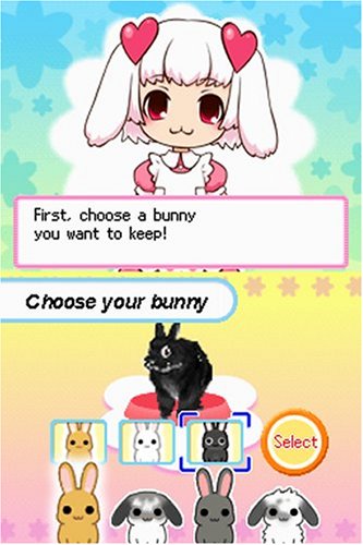 Petz Bunnyz - Nintendo DS