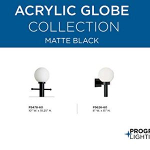 Progress Lighting P5626-60 Acrylic Globe Outdoor, 8-Inch Width x 15-Inch Height, Black