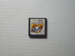 princess debut - nintendo ds