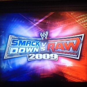 WWE Smackdown vs. Raw 2009 (Nintendo DS)