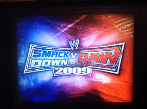 WWE Smackdown vs. Raw 2009 (Nintendo DS)