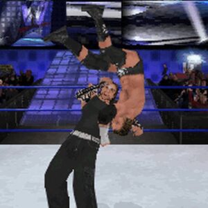 WWE Smackdown vs. Raw 2009 (Nintendo DS)