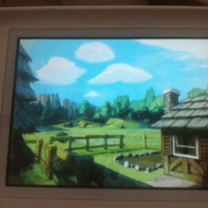 SimAnimals - Nintendo DS