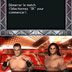 WWE Smackdown vs. Raw 2009 (Nintendo DS)