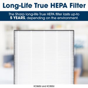 Sharp True HEPA Replacement Filter For KC-860U