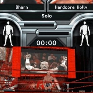 WWE Smackdown vs. Raw 2009 (Nintendo DS)