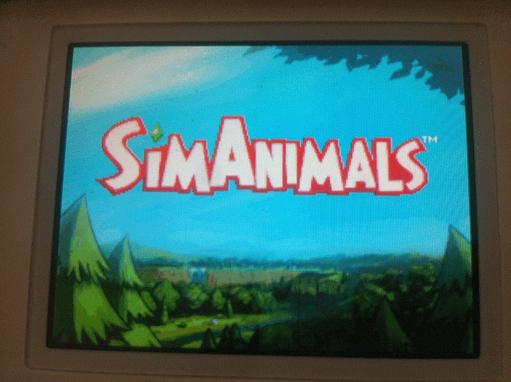 SimAnimals - Nintendo DS