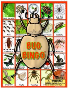 lucy hammett games bug bingo