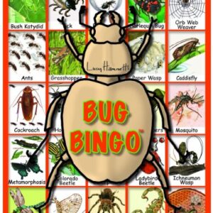 Lucy Hammett Games Bug Bingo