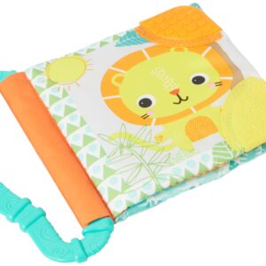 Bright Starts Teethe & Read Soft Book Toy, Ages 3 Months +, Style May Vary