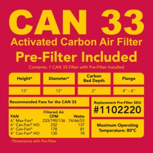 Can Filter 358621 Original 33 Carbon Air Filter Without Flange, 200 CFM, 13 inch, Silver/White