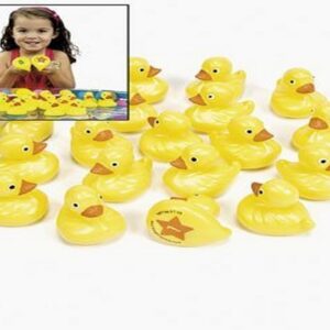 Duck Matching Game (set of 20 rubber duckies) Party Games