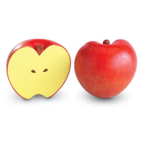 Bring fractions to life with these sectioned apple magnets