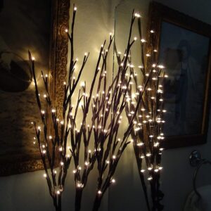 The Light Garden WLWB96 Electric/Corded Willow Branch with 96 LED Lights, 40 Inch