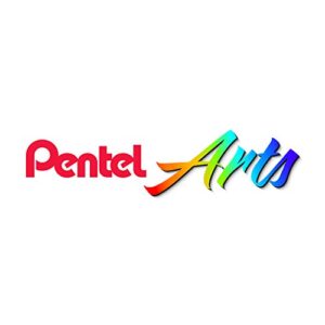 Pentel Arts Aquash Fine Point Water Brush, Medium (FRHMBP)