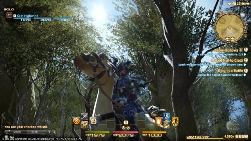 Final Fantasy XIV: A Realm Reborn - Playstation 3