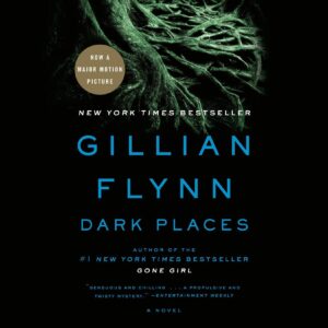 dark places: a novel